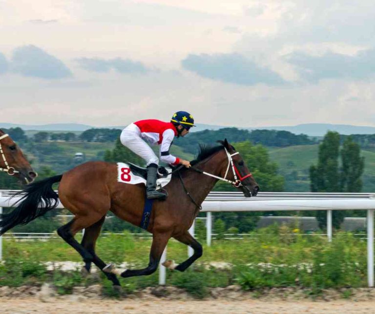 10 Different Types of Horse Racing - LoveYouHorse.com