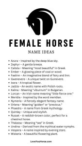 350+ Beautiful Female Horse Names (With Meaning)