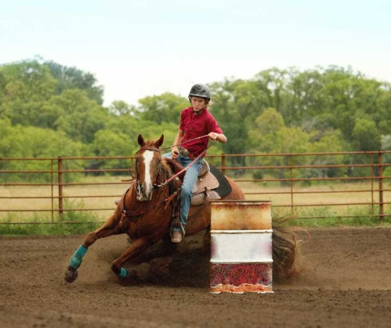 10 Different Types of Horse Racing - LoveYouHorse.com