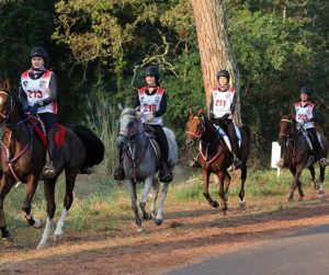 10 Different Types of Horse Racing - LoveYouHorse.com