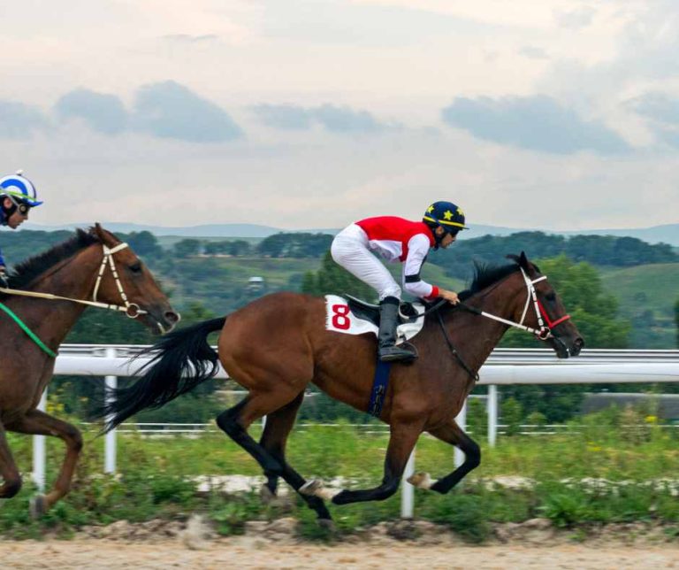 10 Different Types of Horse Racing - LoveYouHorse.com