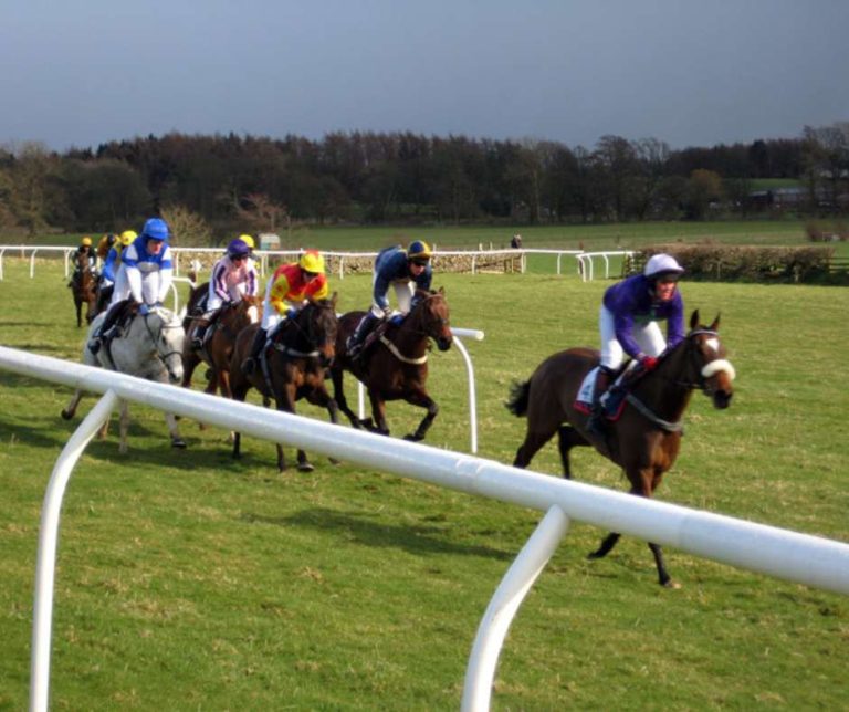 10 Different Types of Horse Racing - LoveYouHorse.com