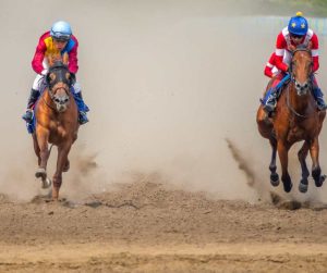 10 Different Types of Horse Racing - LoveYouHorse.com