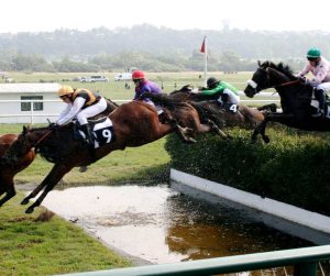 10 Different Types of Horse Racing - LoveYouHorse.com